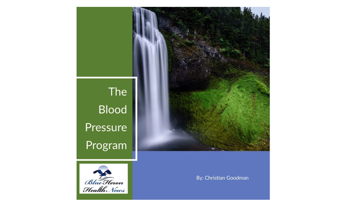 The Blood Pressure Program Review An Effective Program To Regulates 