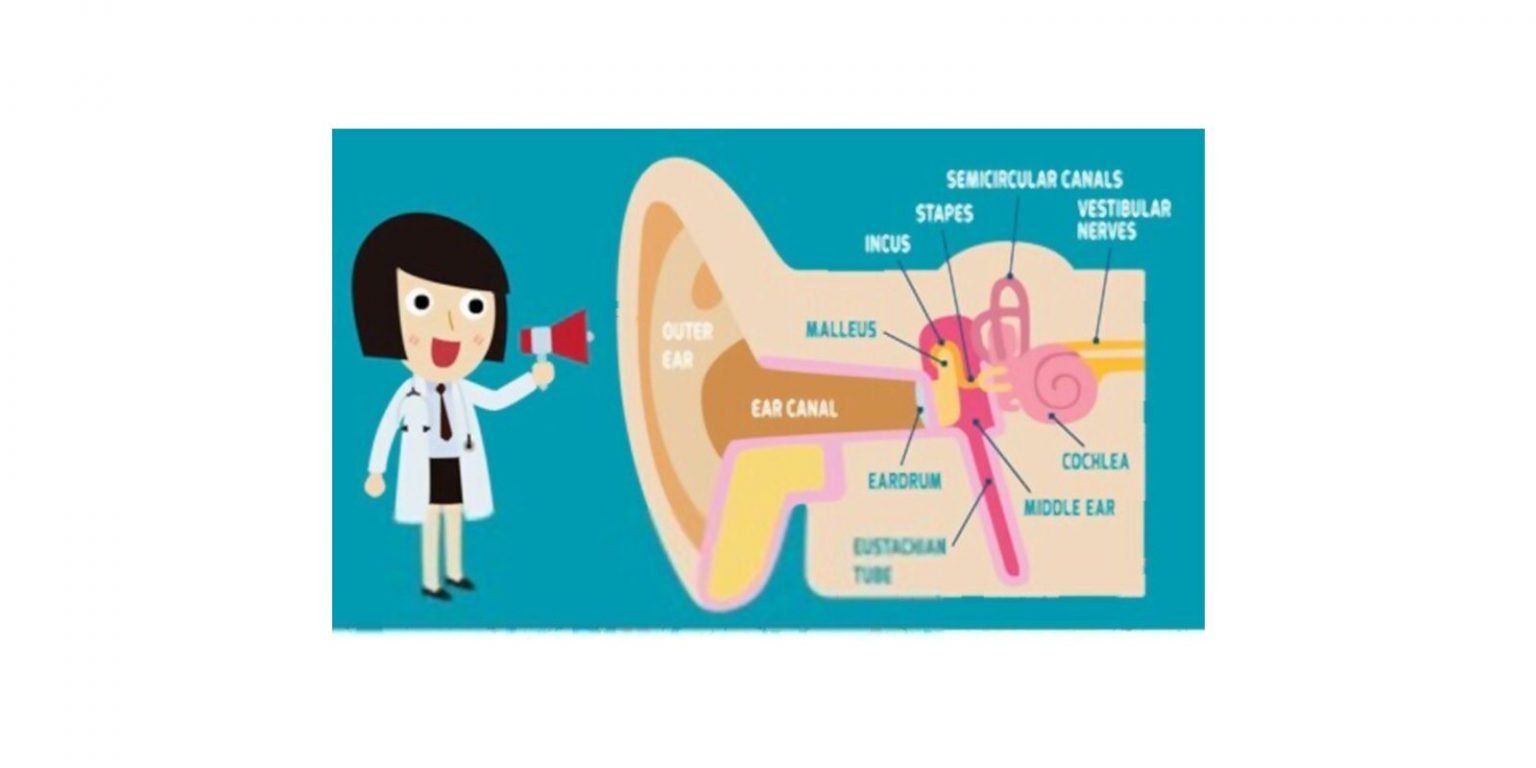 Sharp Ear Review- A Proven Ear Health Formula? – ASL Club
